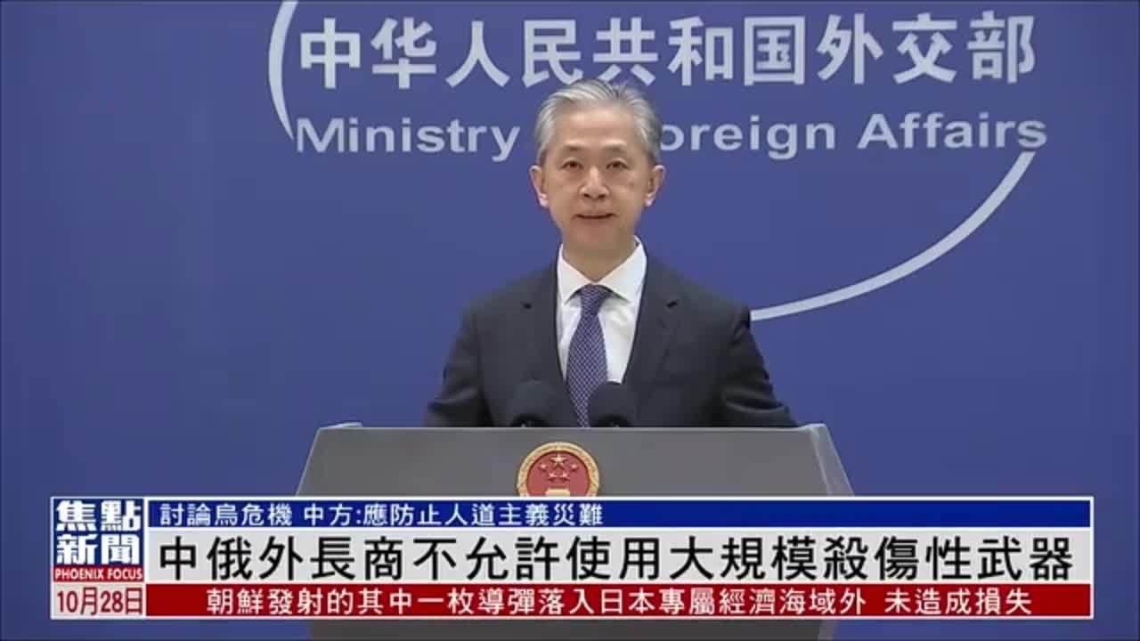 中俄外长商不允许使用大规模杀伤性武器