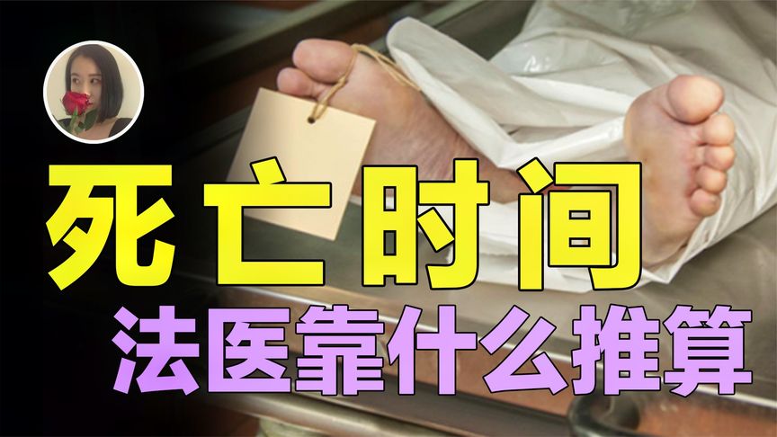 【沉默的真相】法医靠什么推断死者的死亡时间?