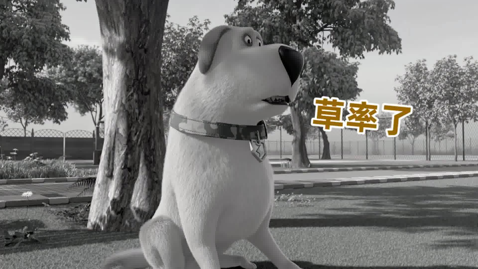 宠物店的小秘密:这逻辑,完美无缺