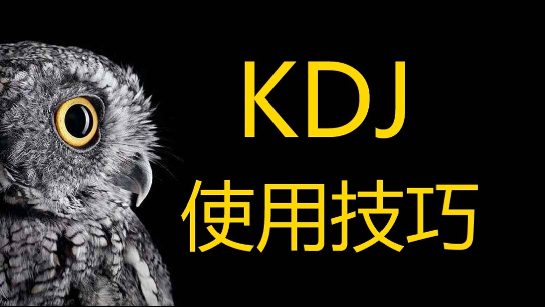 星雅龙交易体系理念解析 KDJ指标详解六大买入绝技