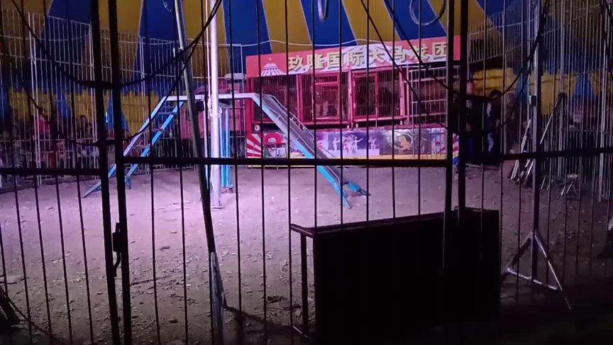 #特技表演 #危险动作请勿模仿 #马戏团 #杂技表演