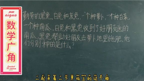 二年级数学下册第九单元《数学广角～推理》练习题讲解