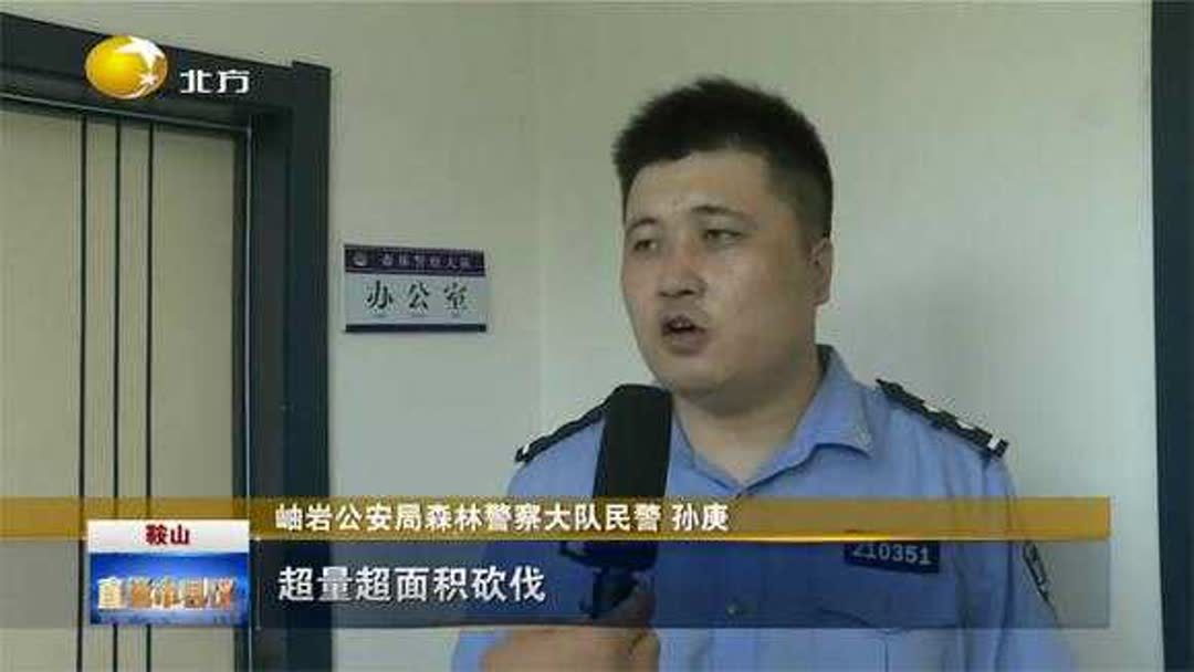 涉案120余万元,岫岩公安破获特大滥伐林木案