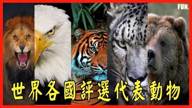 美国网友为世界各国评选代表动物,中国的不是熊猫,希腊的最可爱