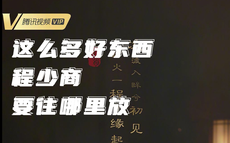 这么多好东西,程少商要往哪里放