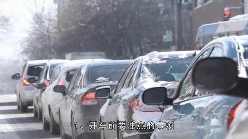 掌握的交通规则有哪些有什么注意