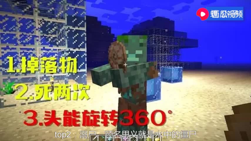 《我的世界》海洋版,4种新生物特性介绍,溺尸:我的头能转360