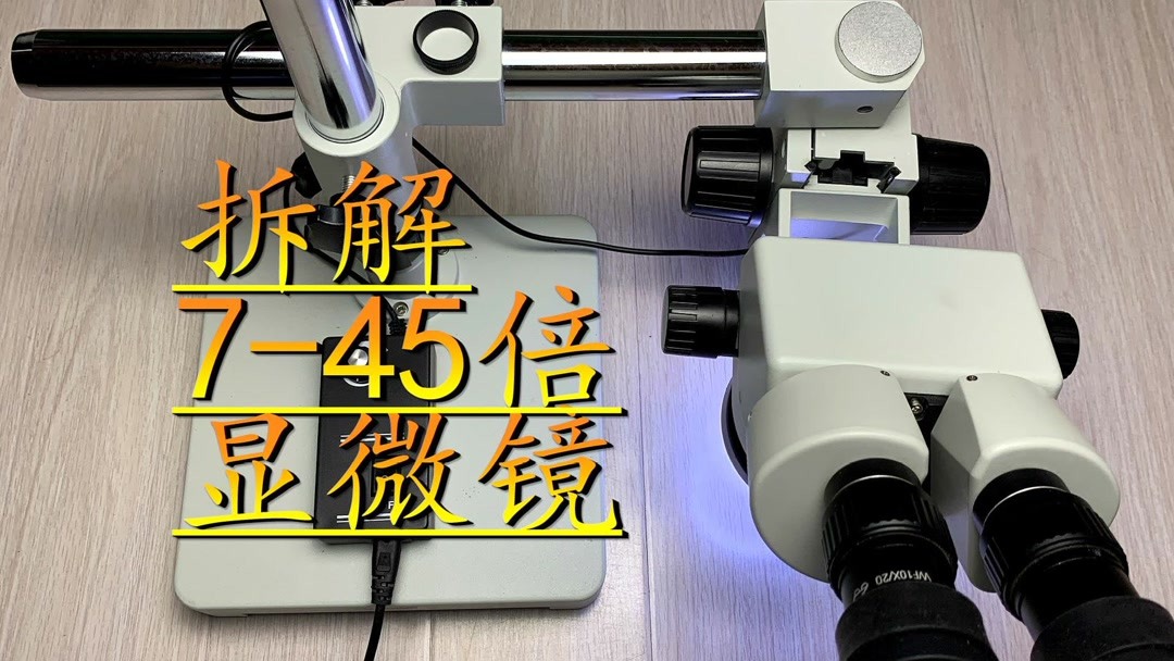 先给蚊子切掉嘴巴 拆解7-45倍光学显微镜
