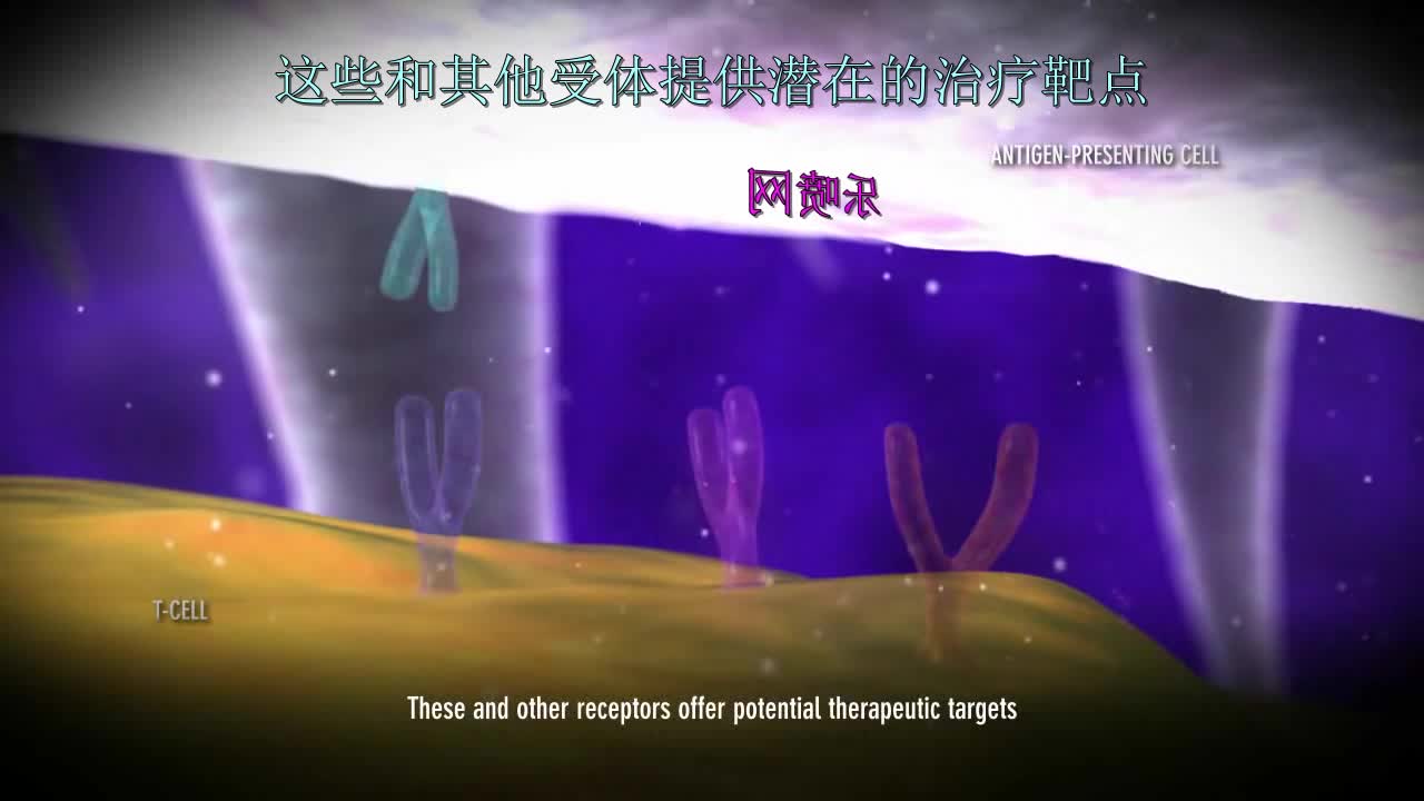 看看如何激活T细胞杀灭癌细胞