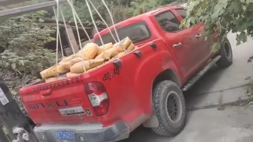 能载人也能拉货,这才是皮卡的作用!