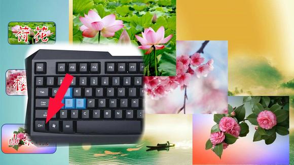 播放ppt时,如何实现幻灯片局部快速放大?这两种方法很好用