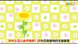 嘟拉十万个为什么 203为什么花儿会开放?