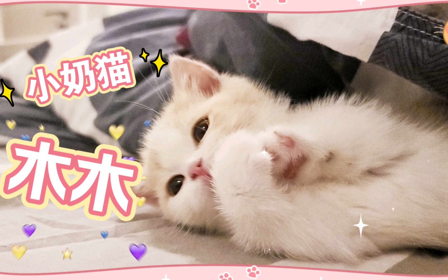 【FPX、木木】小奶猫直拍