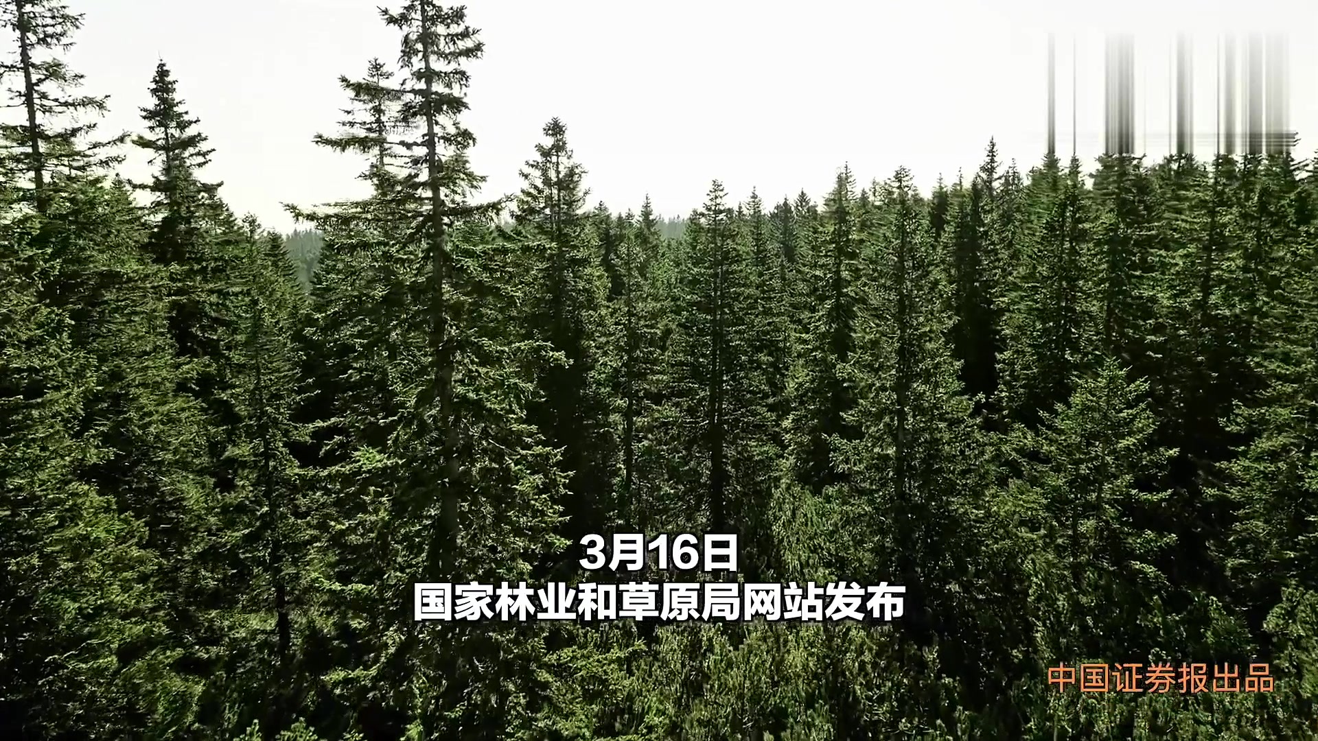 国家林业和草原局:"十四五"期间我国建设国家储备林3600万亩以上