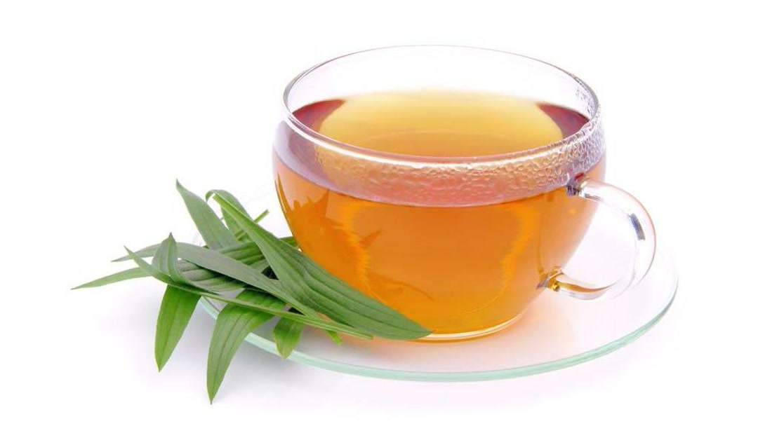 车前草有什么食用禁忌?天天喝会有什么变化?现在明白还不晚!