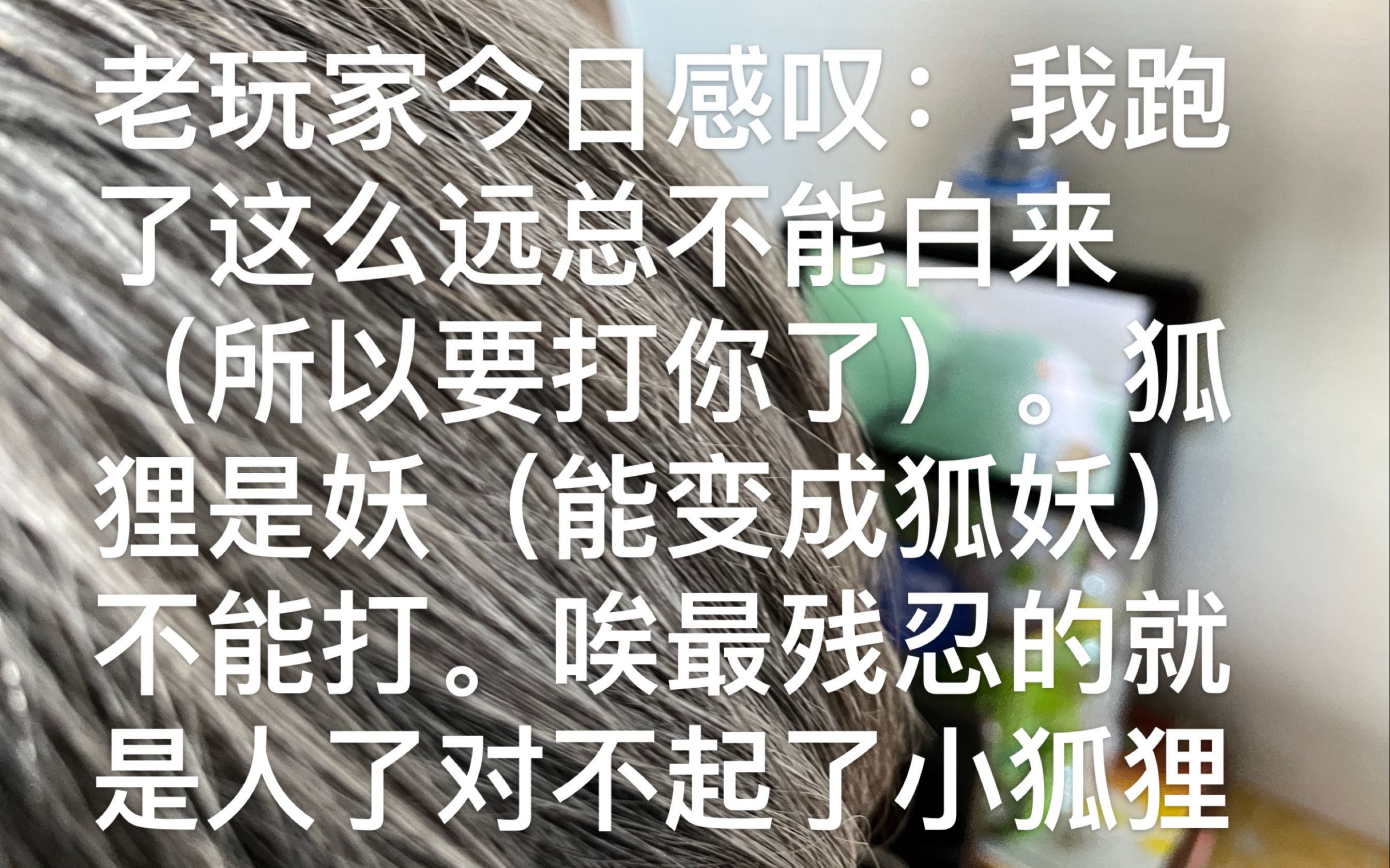 我妈打塞尔达:捉鸡做菜爬山打妖怪并一路赴死的尖叫之旅(摸黑去卡村...