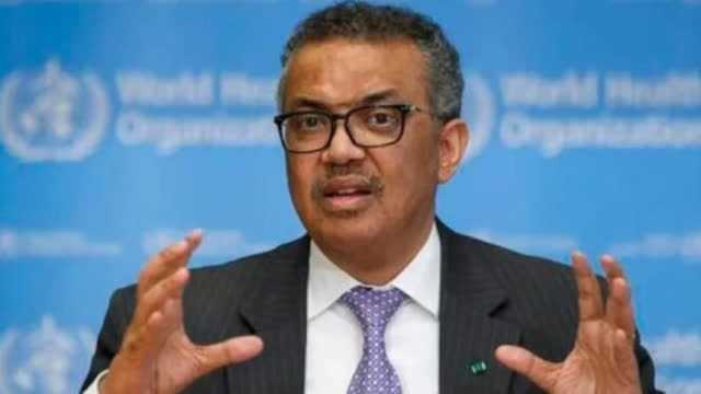 世卫发言人:现有证据表明新冠病毒起源自动物