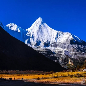 小学数学杨老师107 