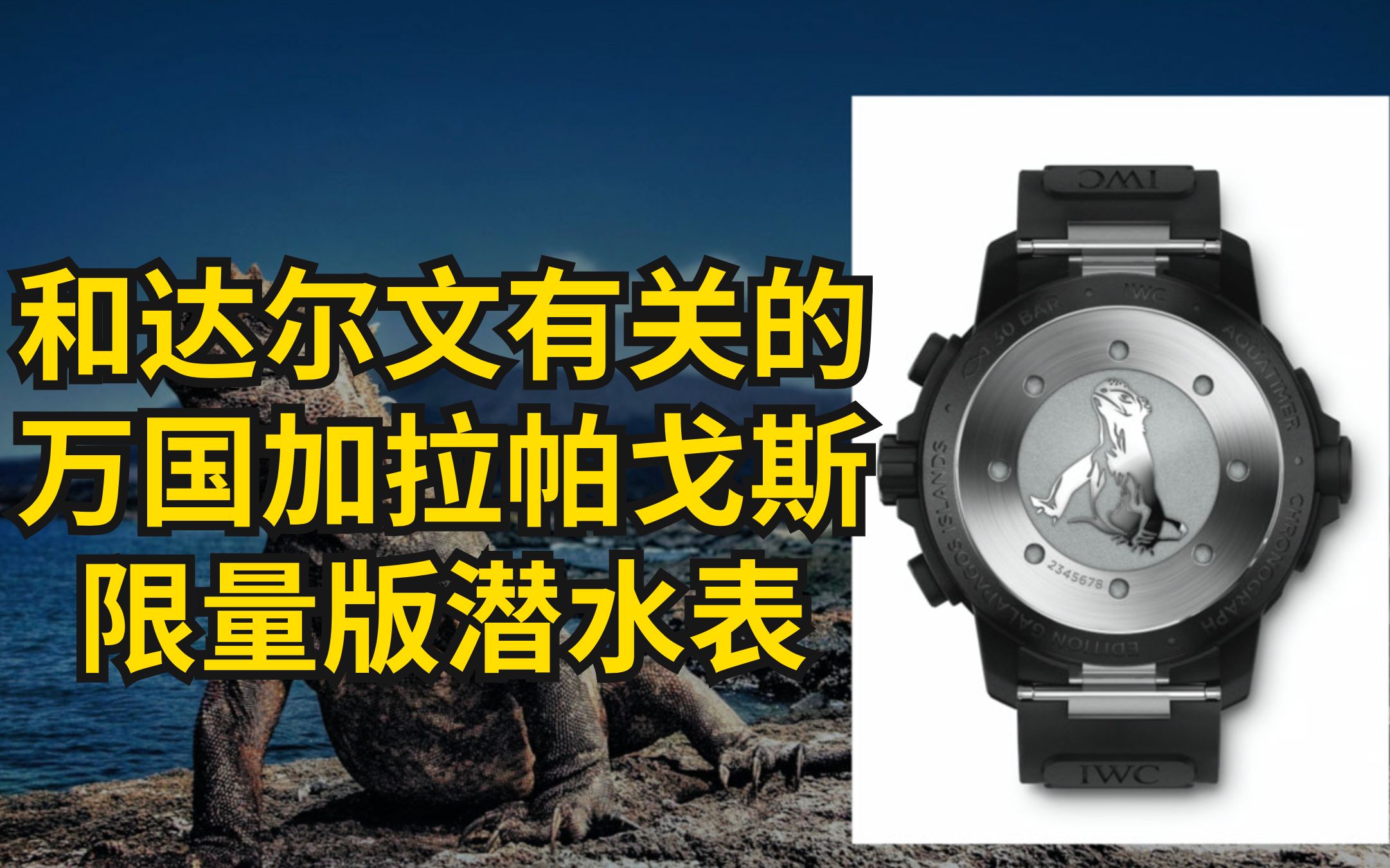 这只特殊的IWC万国表海洋系列限量款潜水表如何正确使用?