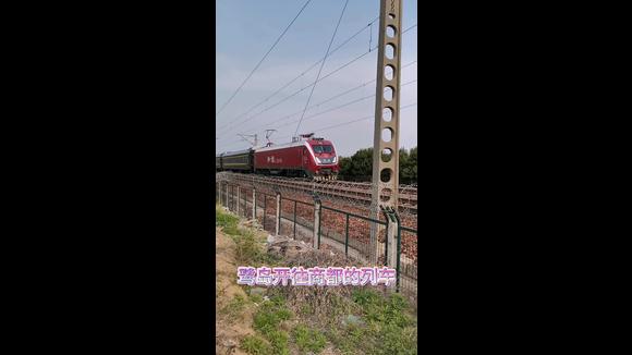 【中国铁路】K741次列车通过中牟 厦门北-郑州