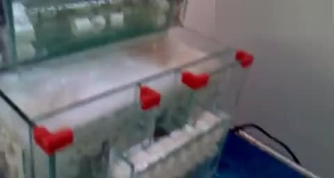自制双层瀑布式 鱼缸过滤器(上滤) DIY