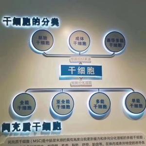 肽诺干细胞源头 