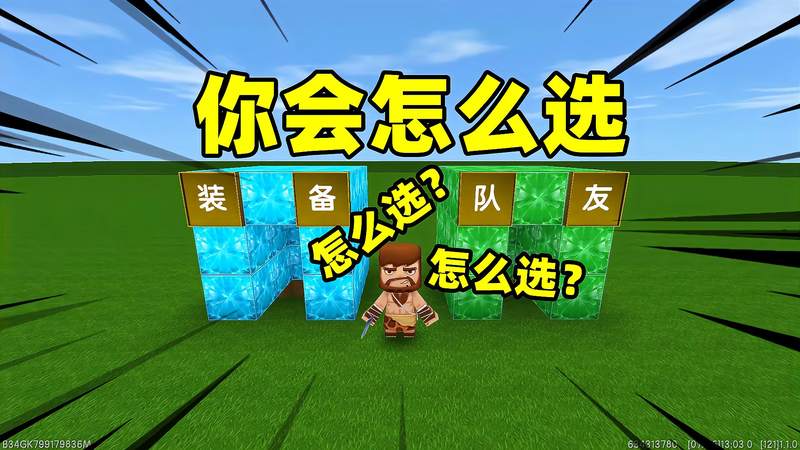 迷你世界 队友和装备 你会怎么选? 王不畏选择救队友