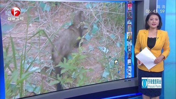 南昌:遇到野生保护动物 市民主动放生