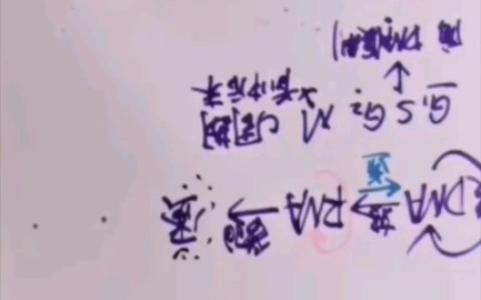 【大家玩生物】基因表达