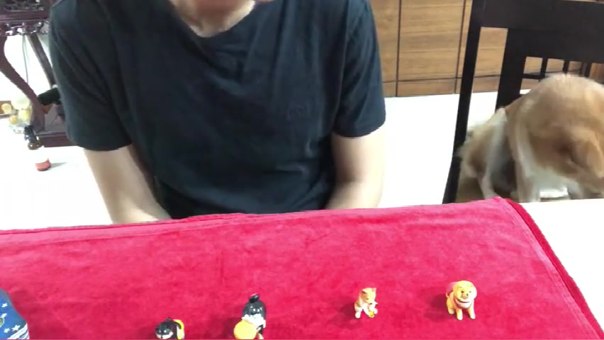 塔罗占卜 :宇宙给予你感情的讯息是什么?他还爱你吗?