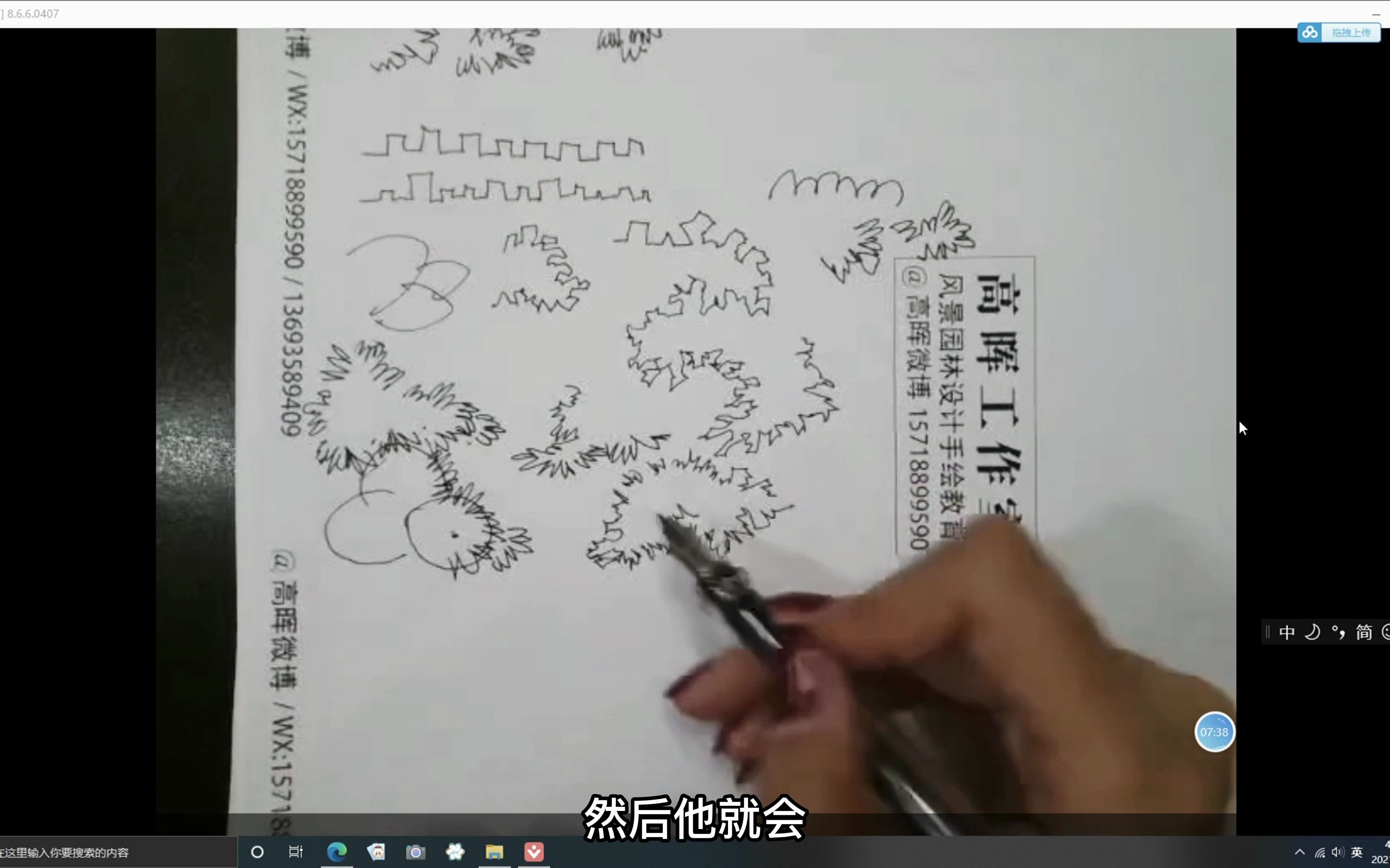 教你几种最常用园林植物的线形!【清美世家风景园林手绘系列】