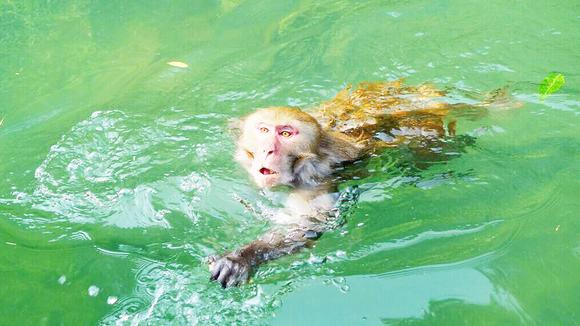 水鬼真的存在么?真的是民间俗称的水猴子?专家都无法解释!