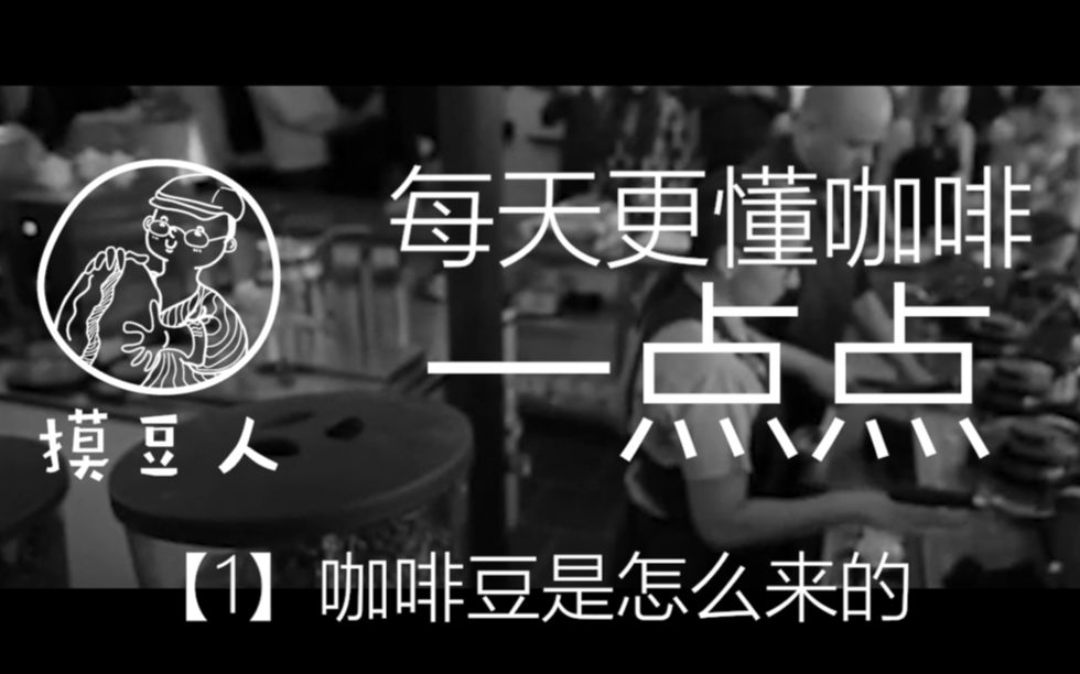 咖啡豆是从哪里来的【银河系喝咖啡指南】【每天一分钟多懂咖啡一点点】