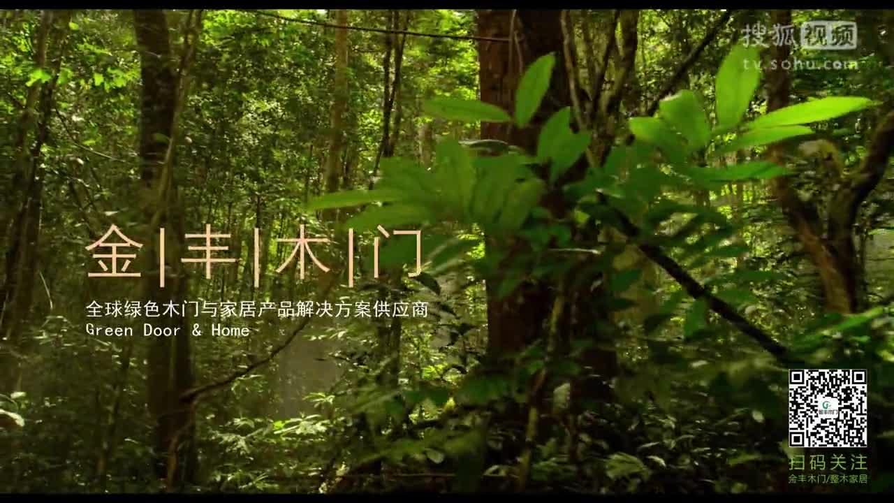 原木门十大品牌:原木门30强金丰木门