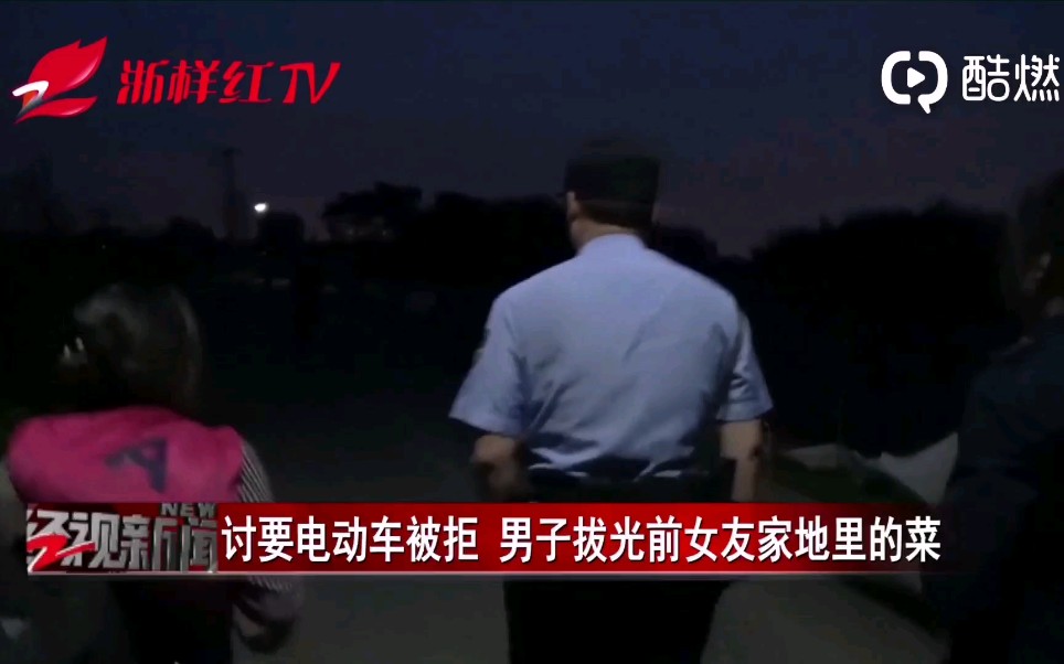 送前任的电动车要不回来,男子一怒之下拔光了前女友种的菜!