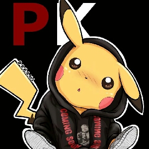 蔡总mike 
