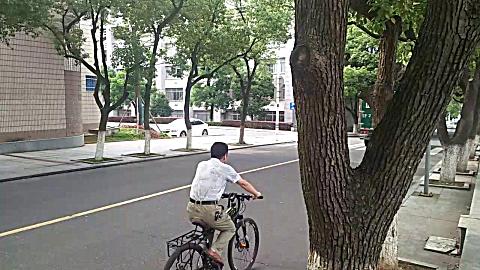 岳阳的中国邮政福田时代康瑞H1厢式货车(湘F2SW81)