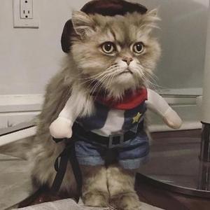 一村之长托马斯 