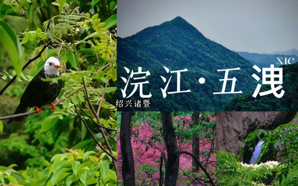 诸暨五泄风景区 ‖ 非必要生活指南