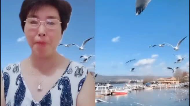和 一起 #合拍 #手势舞 势《篱笆墙的影子。》#海鸥的蓝白恋歌