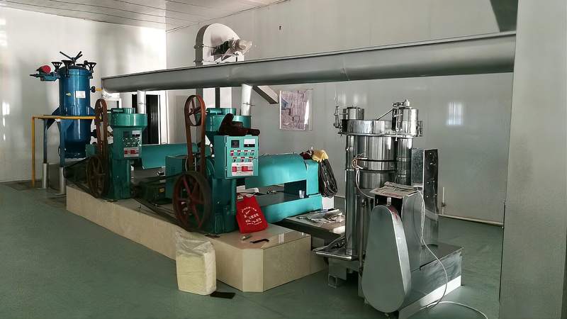 棕榈果榨油视频 (1)