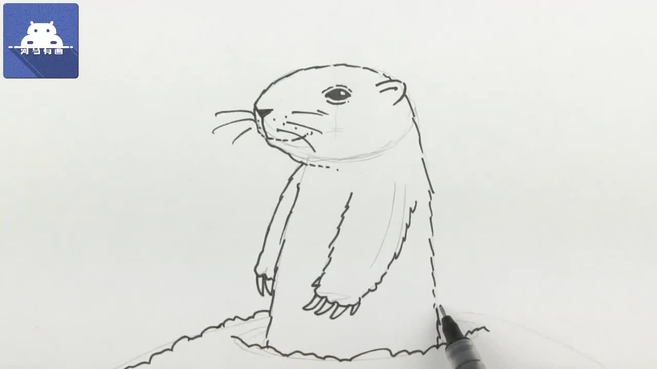 画一只可爱的土拨鼠当宠物如何?说不定会成为下一个青蛙旅行记哦