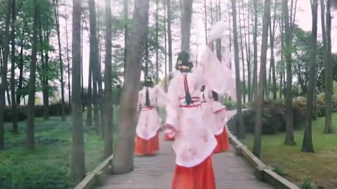 改编自辰东小说《完美世界》的一首唯美舞曲《无归》