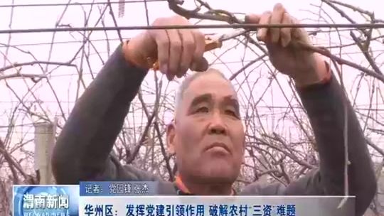 华州区:发挥党建引领作用 破解农村“三资”难题(上)