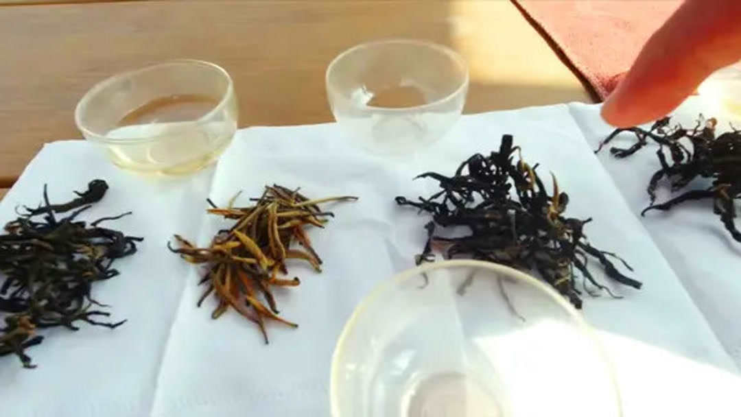 喝茶小贴士,大白今天分享一下云南滇红的小知识,买对不买贵