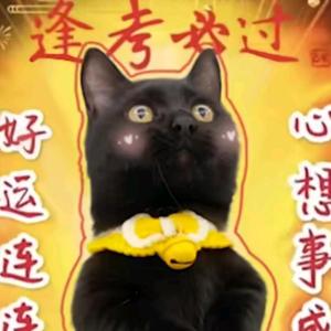 可爱的黑发不守额前岗 