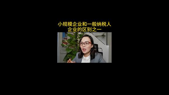 小规模企业和一般纳税人企业的区别之一