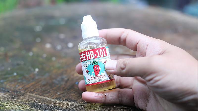 养花快养死了怎么办?园艺师教你,使用HB101活力素,花卉都通用