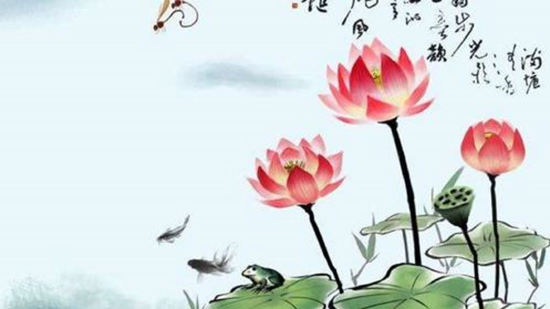 儿童诗词朗诵 第50集 唐诗 曲池荷
