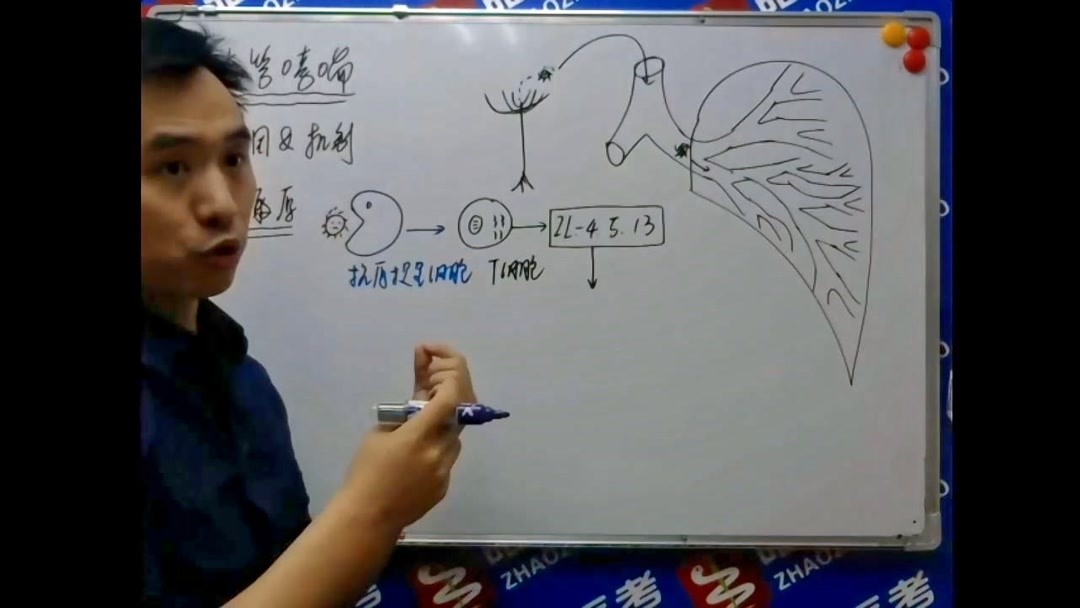 昭昭老师2021西综考研 内科学呼吸系统2——支气管哮喘视频课程!